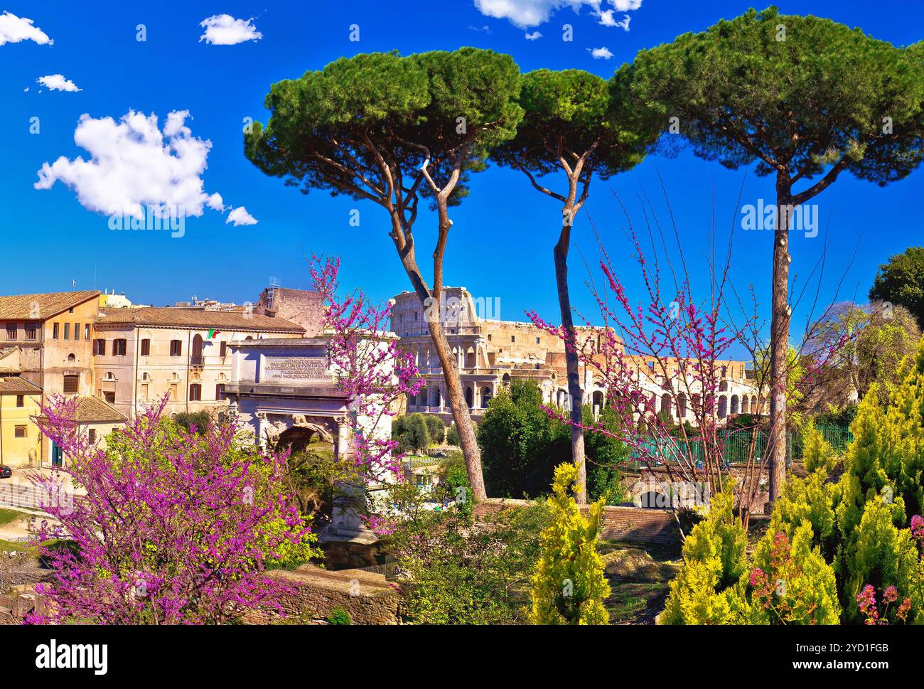 Scenic springtime panoramic view over the ruins of the Roman Forum and ...