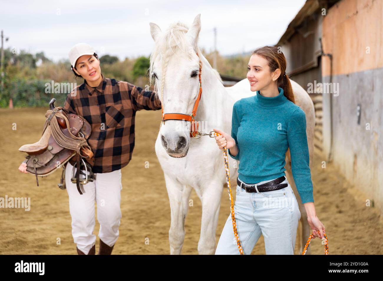 Women ranchers preparing white horse for ride Stock Photo - Alamy