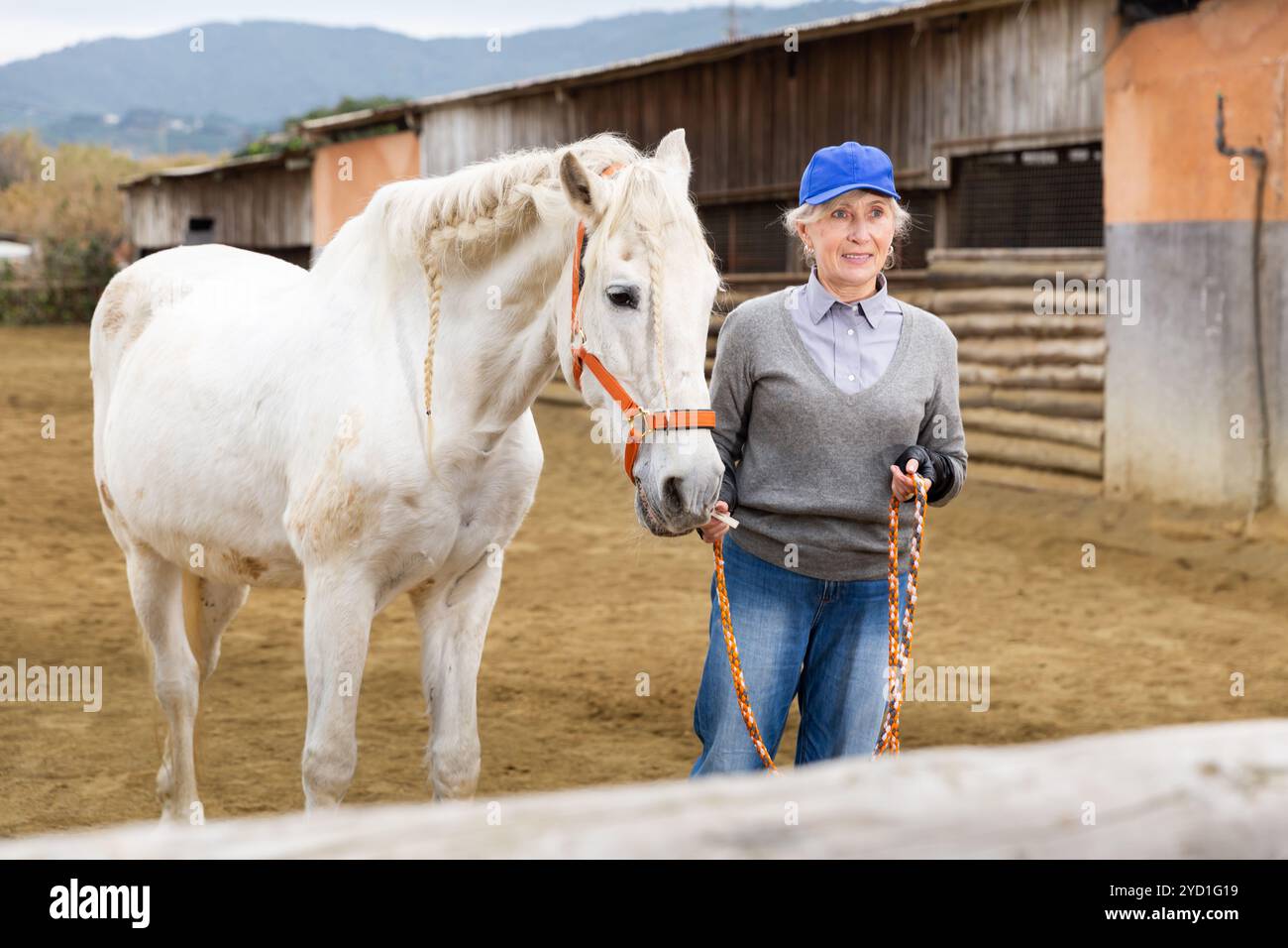 Elderly woman holding rein and leading horse out of stable Stock Photo ...