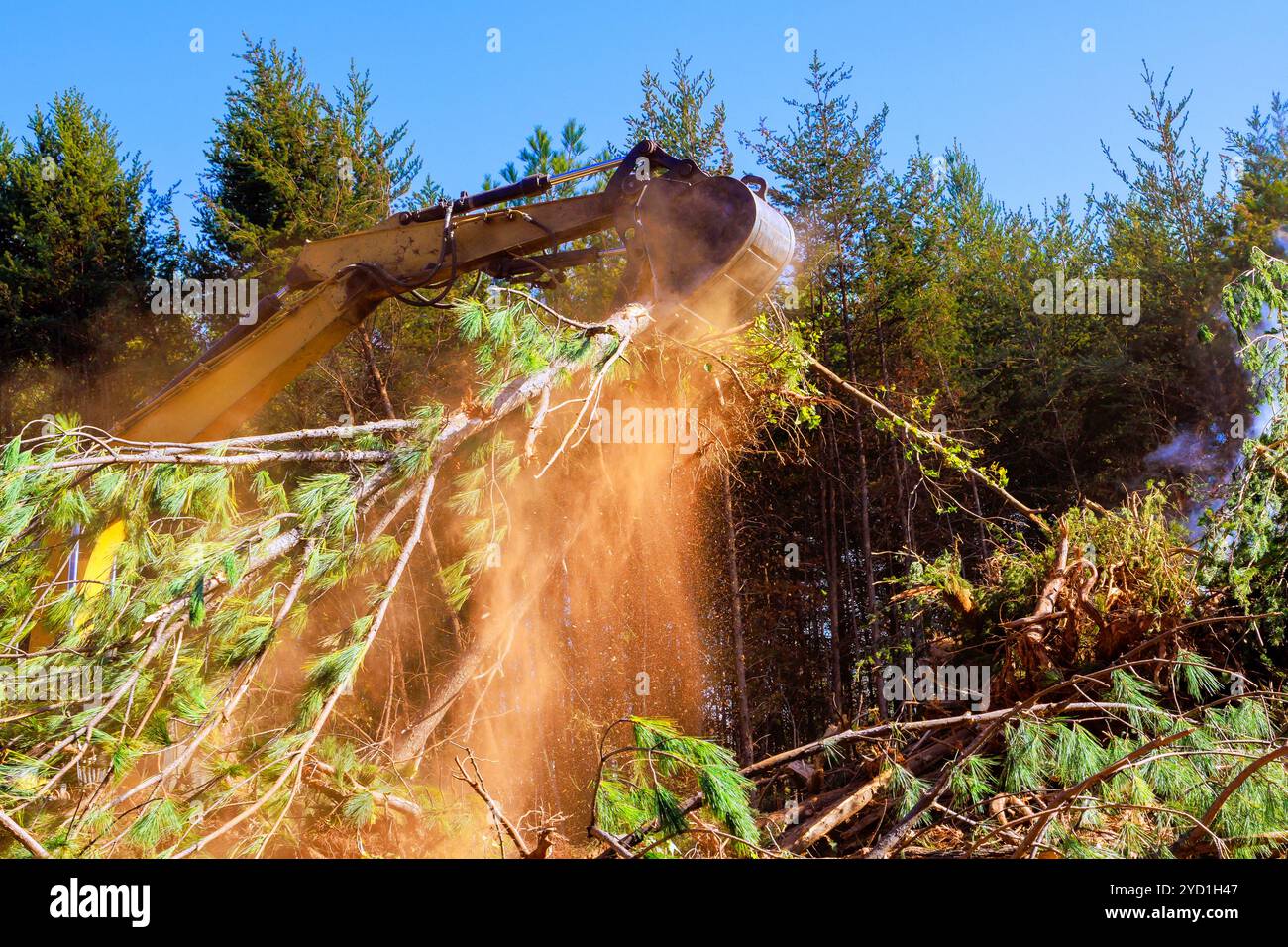 Uprooting trees, during preparation of land for building house Stock ...