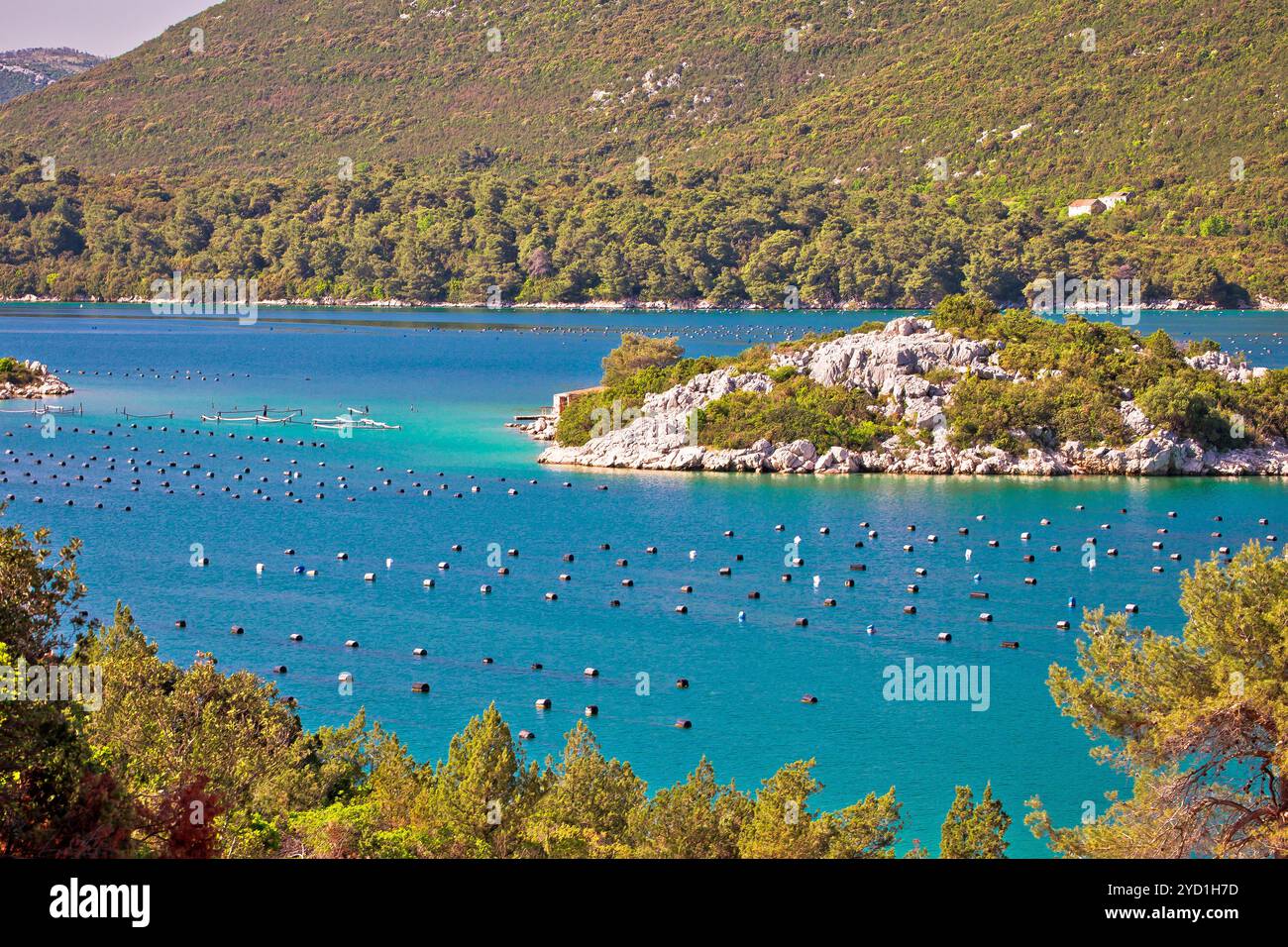 Sea shell oyster farm in Ston bay Stock Photo - Alamy