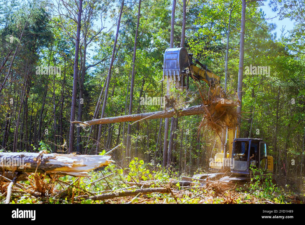 Contractor uses an excavator to uproot trees when preparing land for ...
