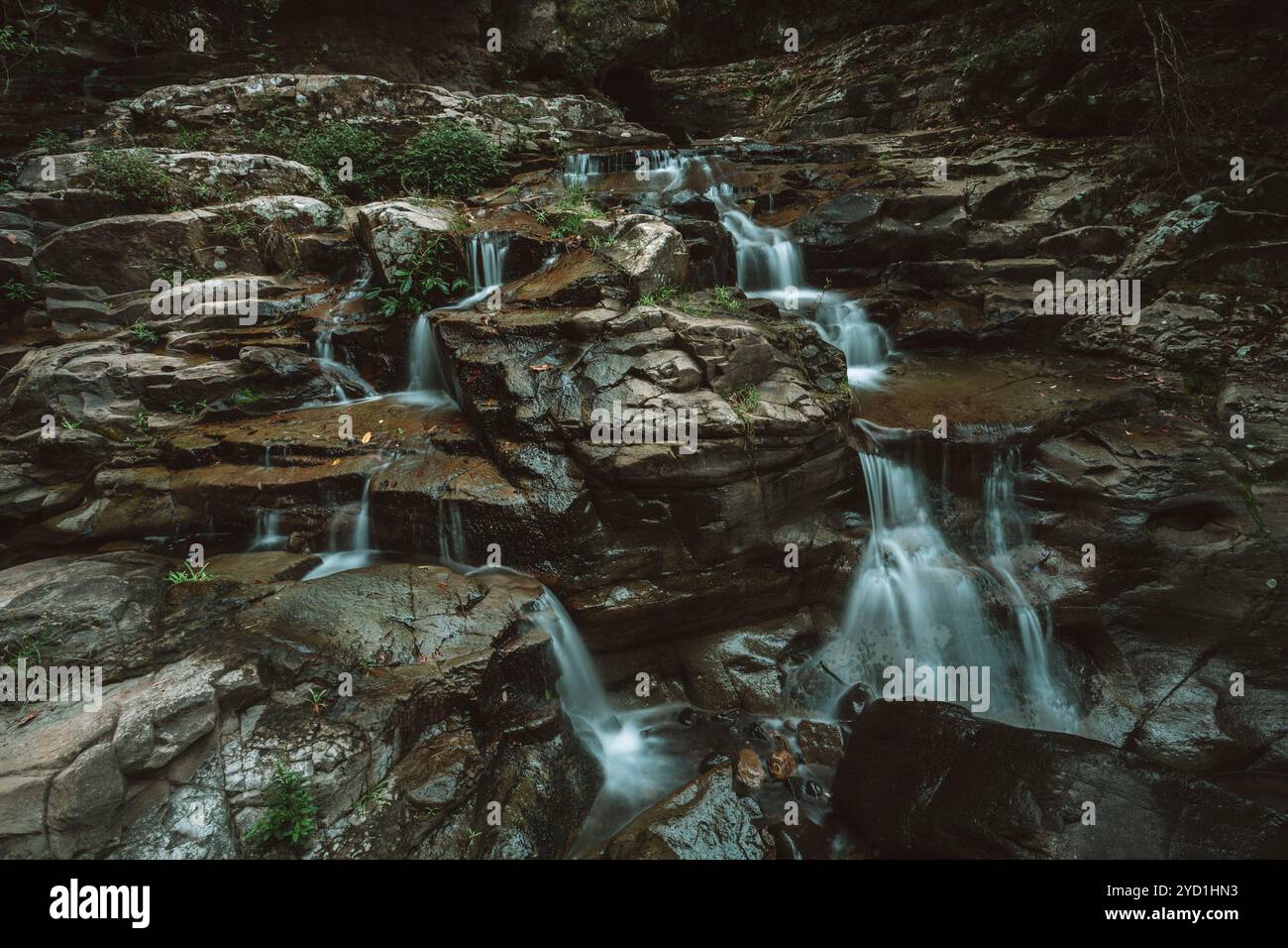 Flowing stream cascades over rocks in bushland Stock Photo - Alamy