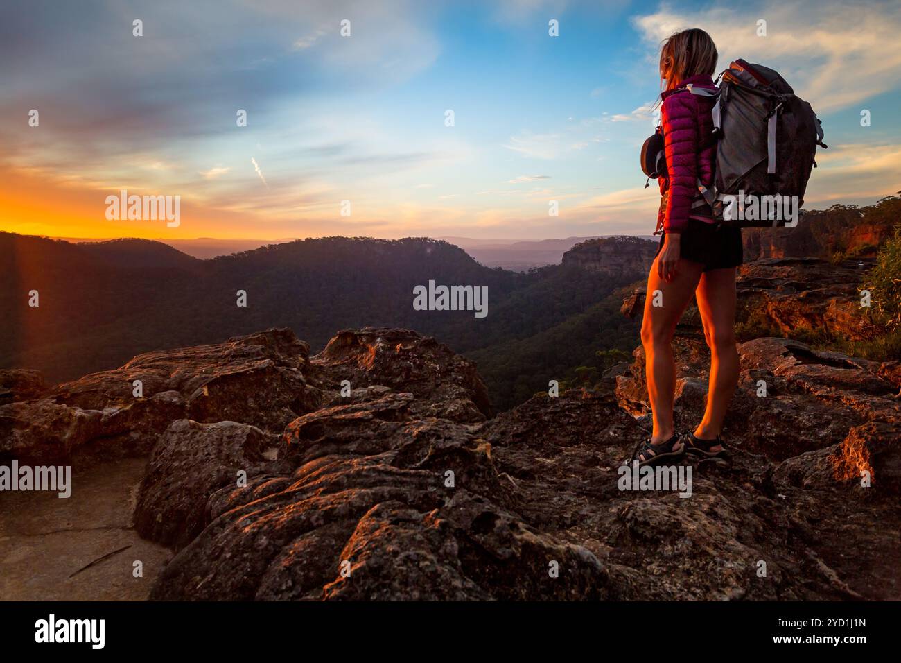 Bushwalker on a hike in upper Blue Mountains to peak Stock Photo - Alamy