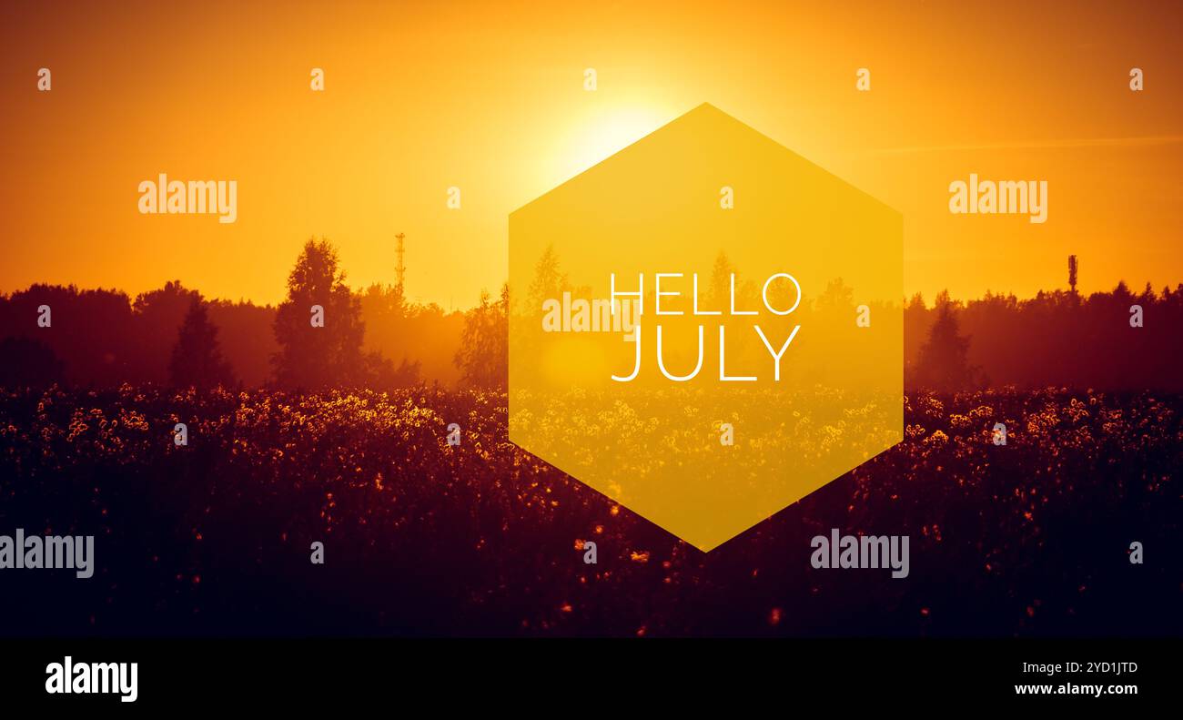 Banner hello july. New month. Welcome card Evening summer sunset ...