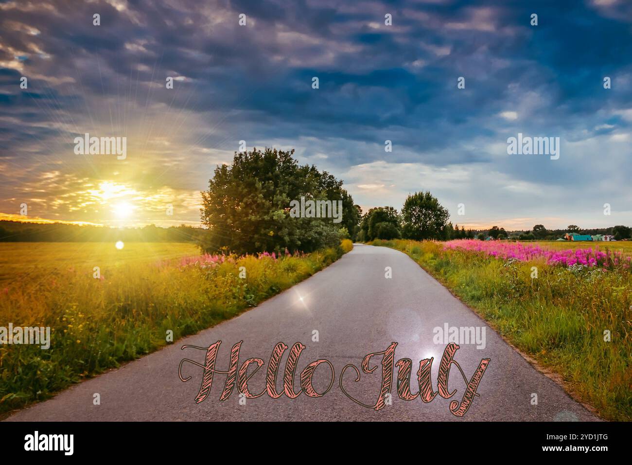 Banner hello july. New month. Welcome card Evening summer sunset ...