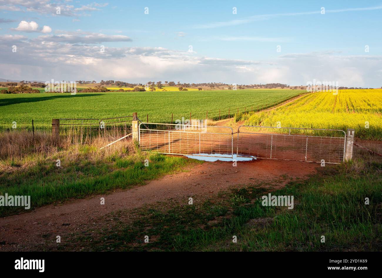 Crops growing in rural hi-res stock photography and images - Alamy