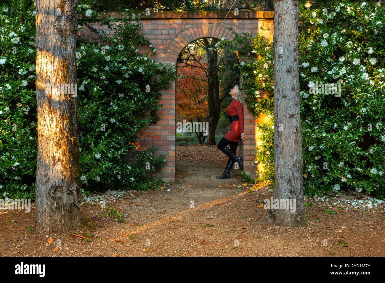 Woman standing in beautiful hi-res stock photography and images - Alamy