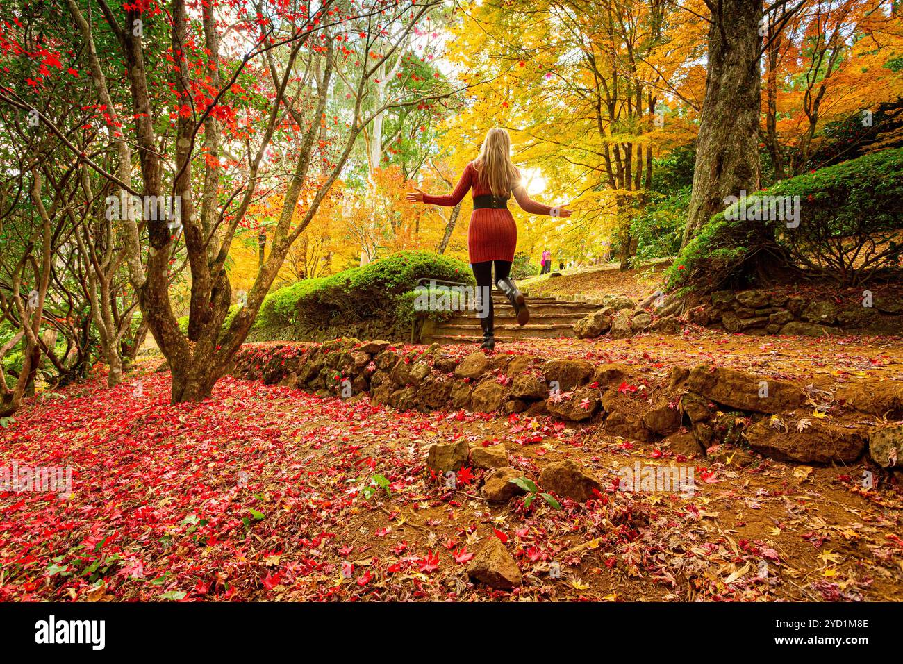 Walk outdoors autumn hi-res stock photography and images - Alamy