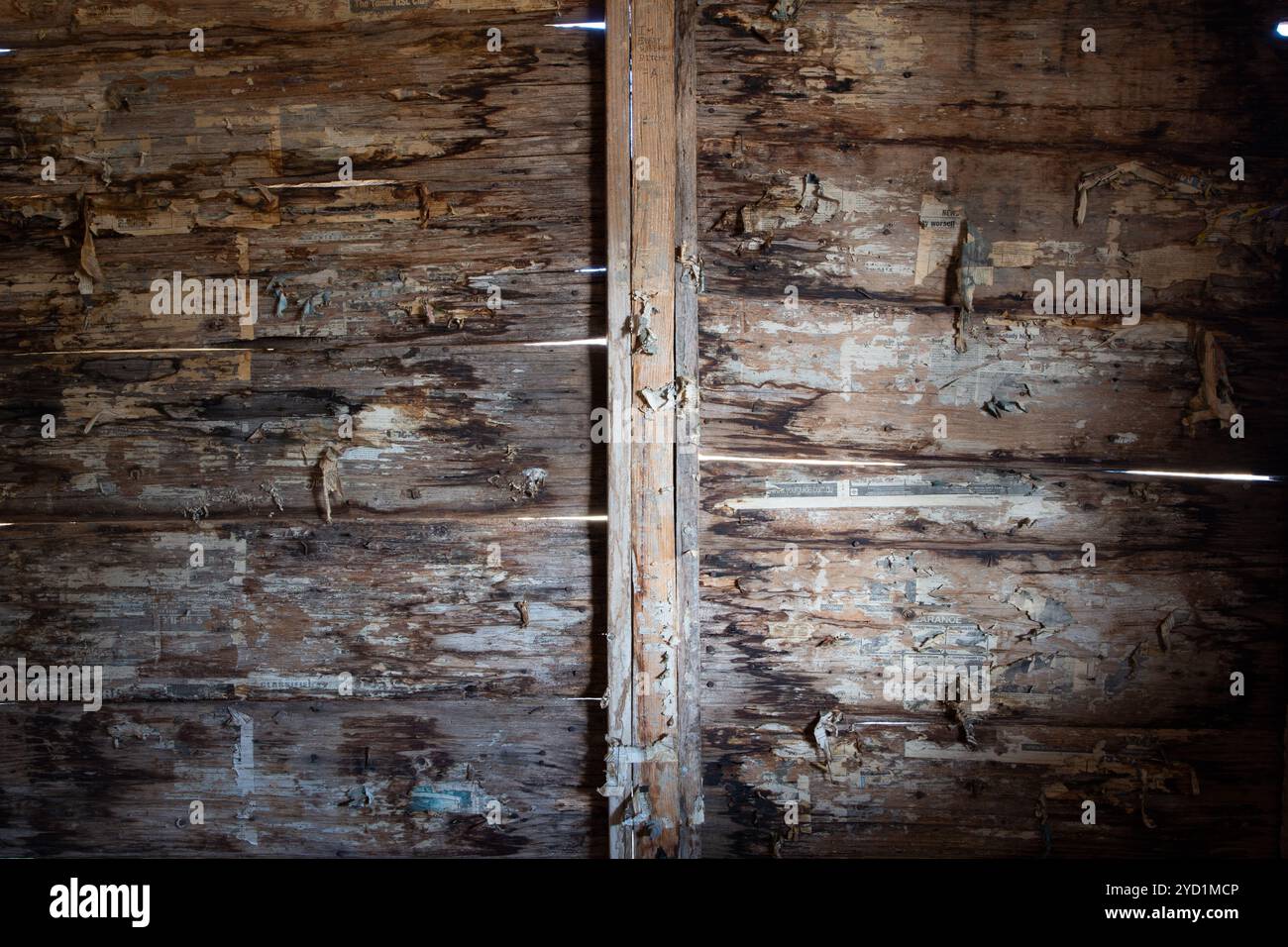 Timber wall details of old aged hut in Snowy Mountains. The hut walls ...
