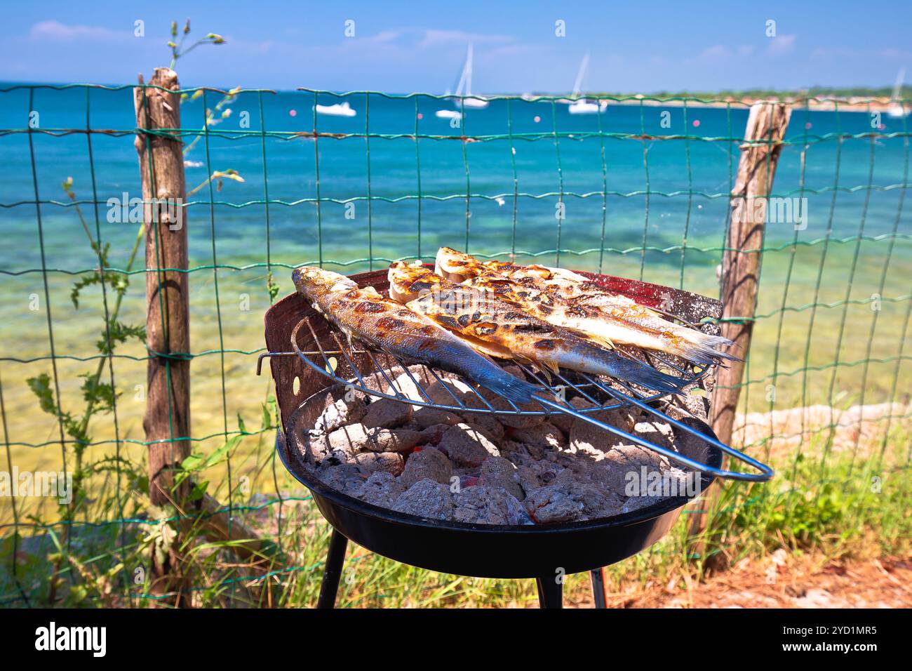 Bbq fish on beach hi-res stock photography and images - Alamy