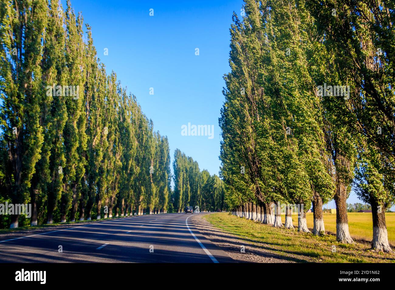 Russian asphalt roads. Highway. Road trip. The car goes on the road ...