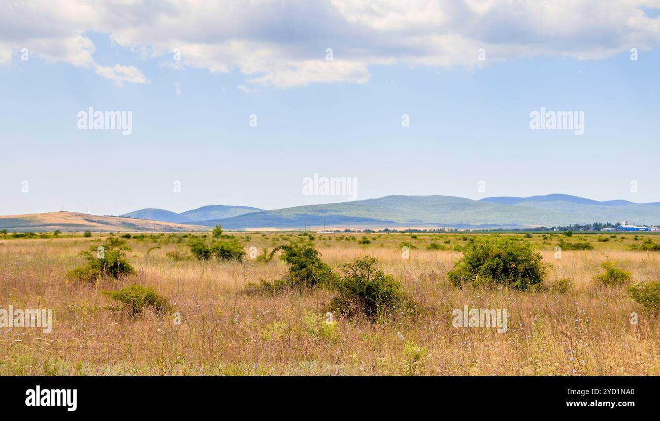 Russian open spaces. Crimea. Field. Summer Russian landscapes. . Grass ...