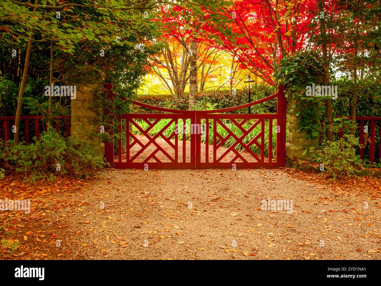 Red gate and autumn colours of beautiful gardens Stock Photo - Alamy