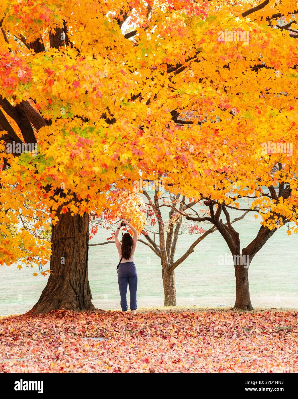 23rd October, 2024 - Valley Forge, PA - visitors enjoy recreational activities in Valley Forge ...