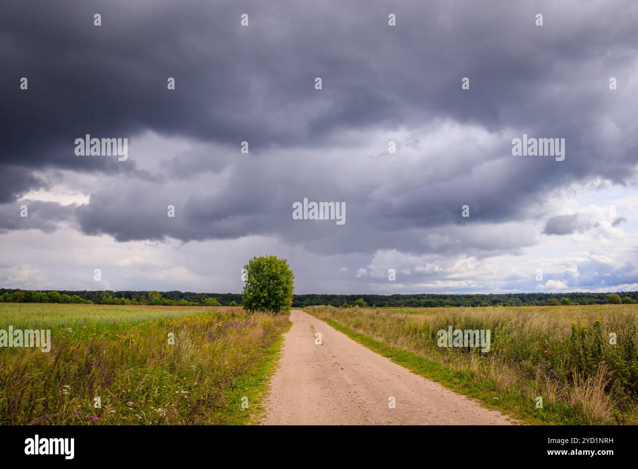 Dark open landscape russia hi-res stock photography and images - Alamy