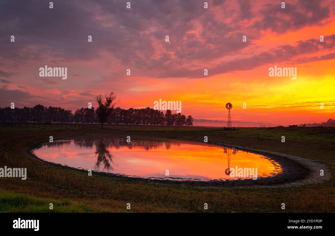 Windmill by pond in rural field with vivid sunrise Stock Photo - Alamy