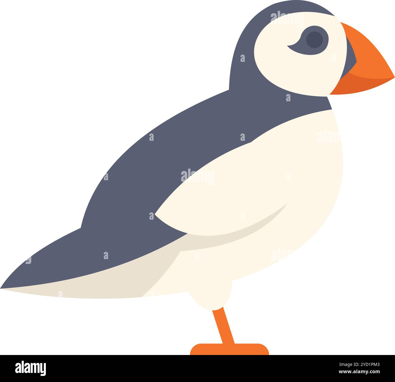 Simple cartoon vector illustration of an atlantic puffin bird standing ...