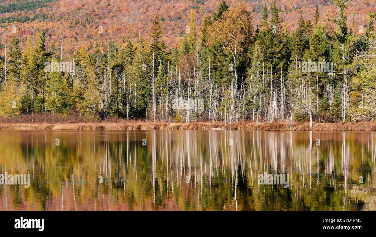 Grassy Pond, Baxter State Park, Maine Stock Photo - Alamy