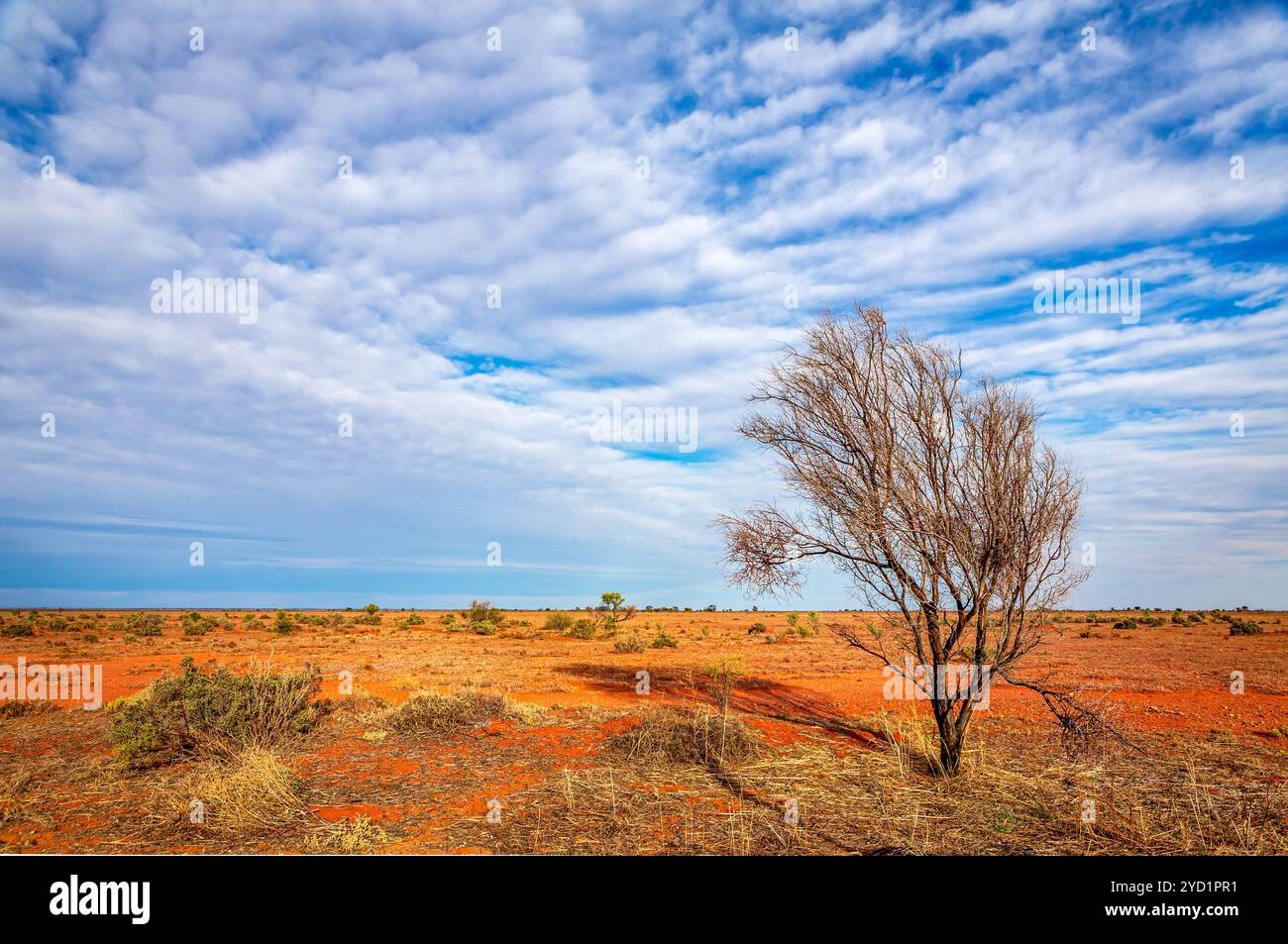 An Australian outback landscape, dry red soils bake under a rich blue ...