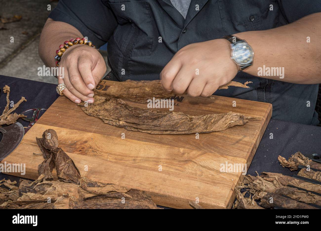 Hand Rolled Cigars, USA Stock Photo - Alamy