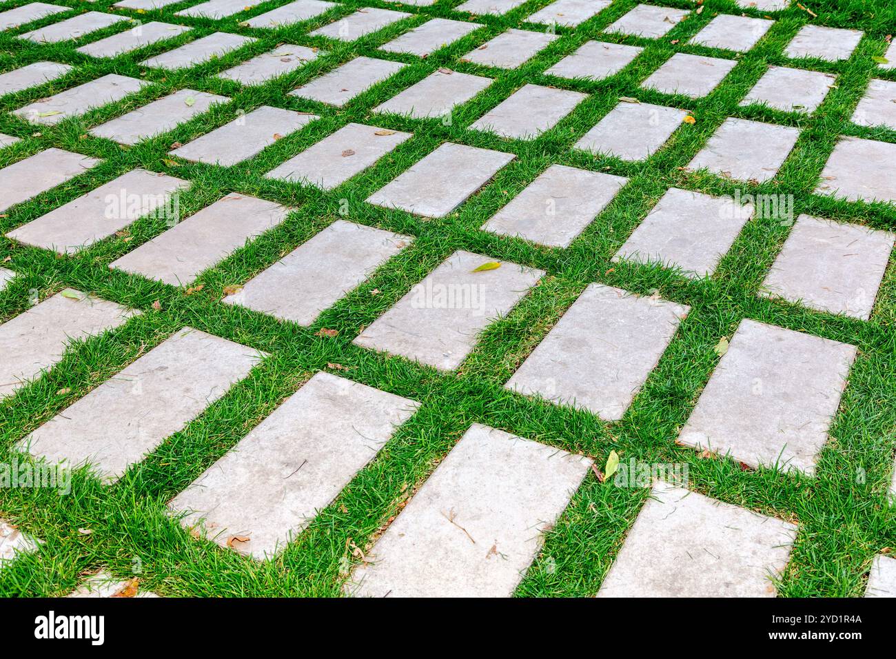 Grass paving block hi-res stock photography and images - Alamy