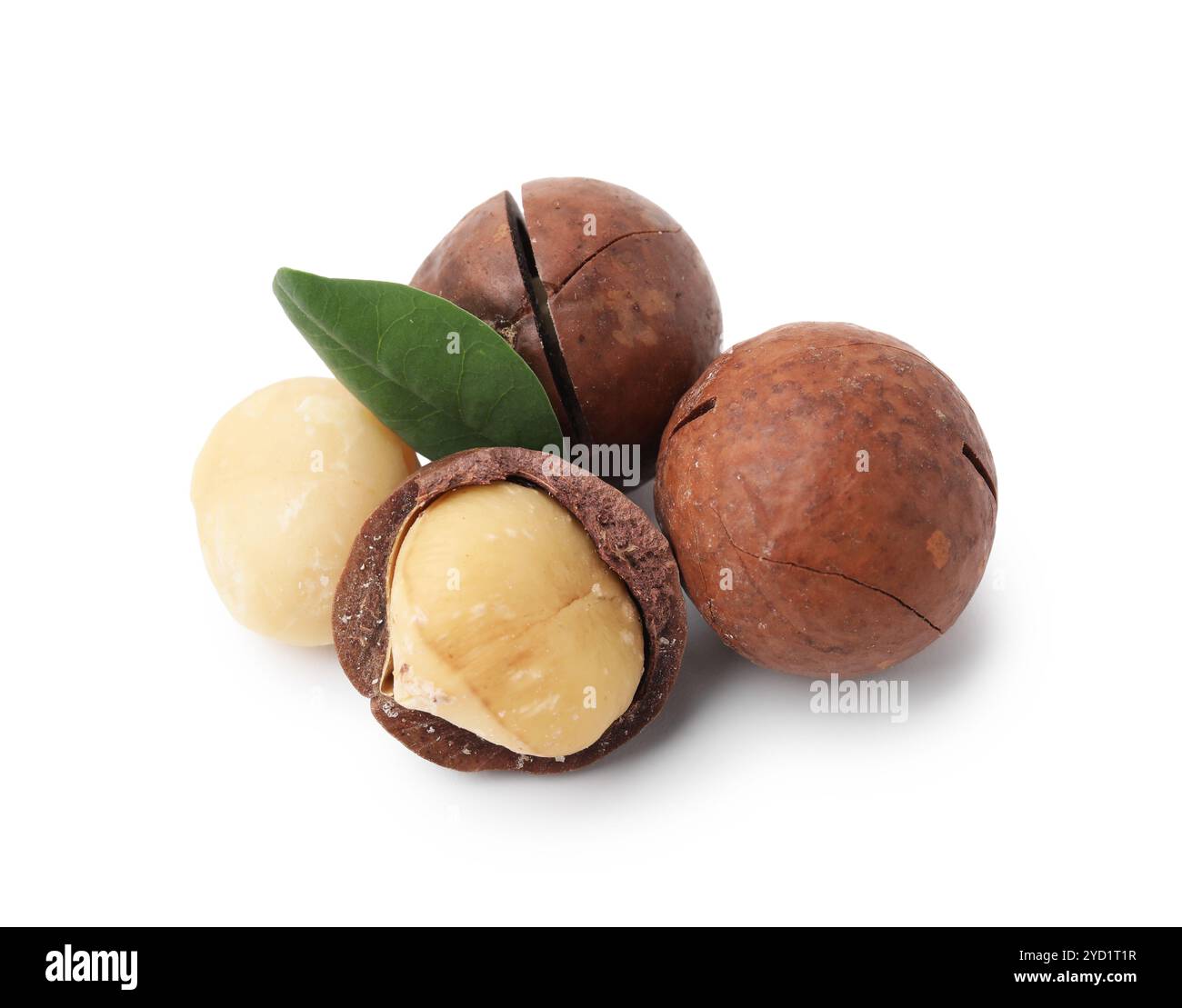 Macadamia nuts with shells isolated on white Stock Photo - Alamy