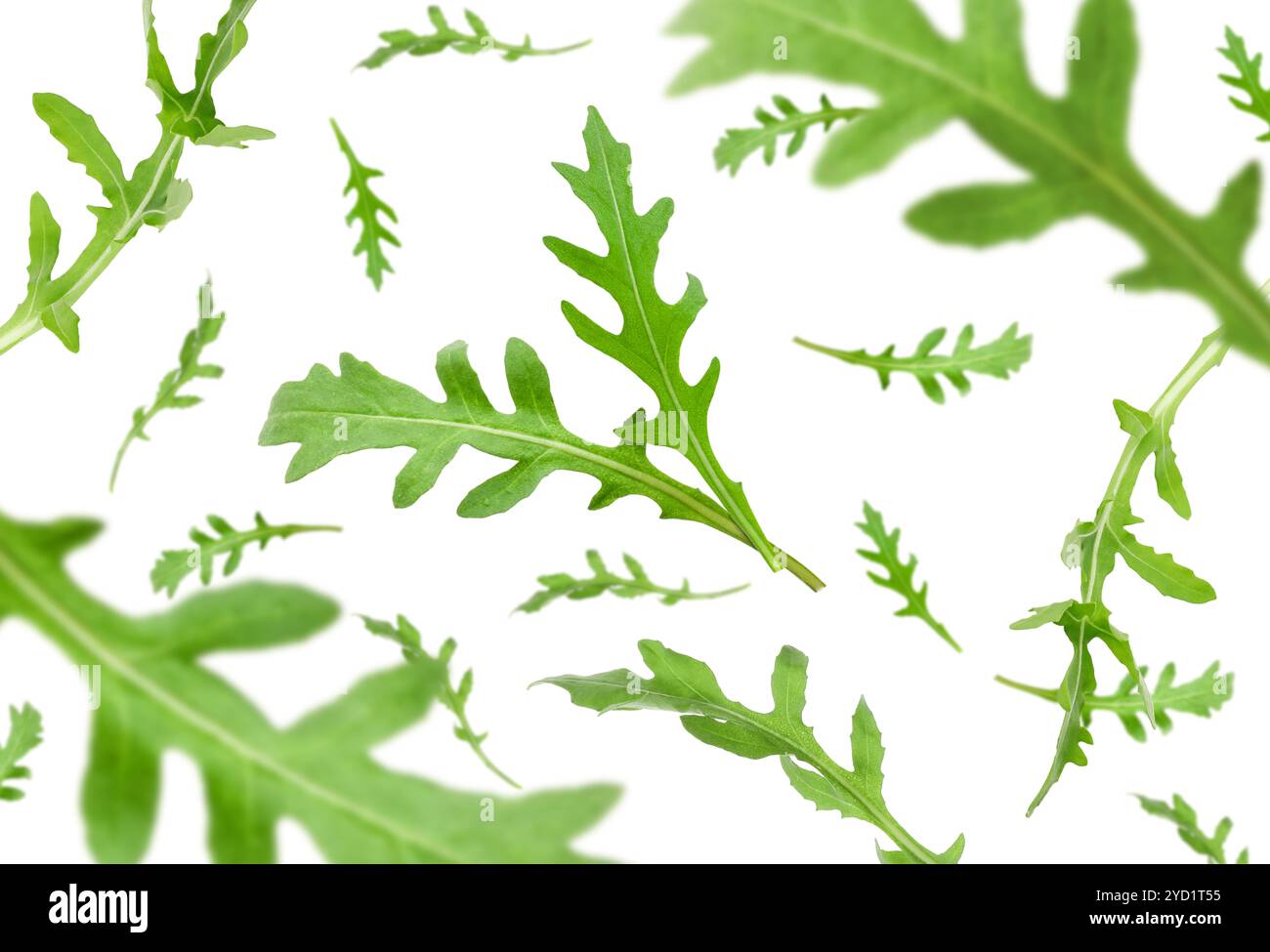 Fresh green arugula in air on white background Stock Photo - Alamy