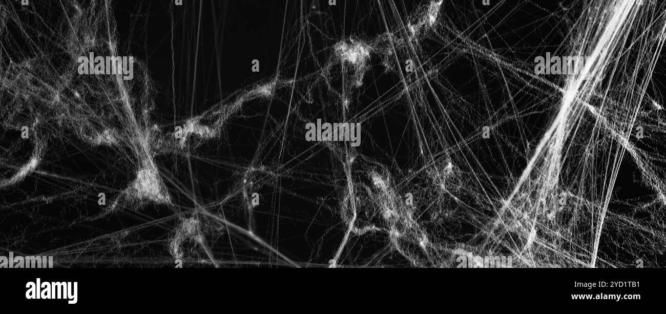 White cobweb on black background, banner design Stock Photo - Alamy