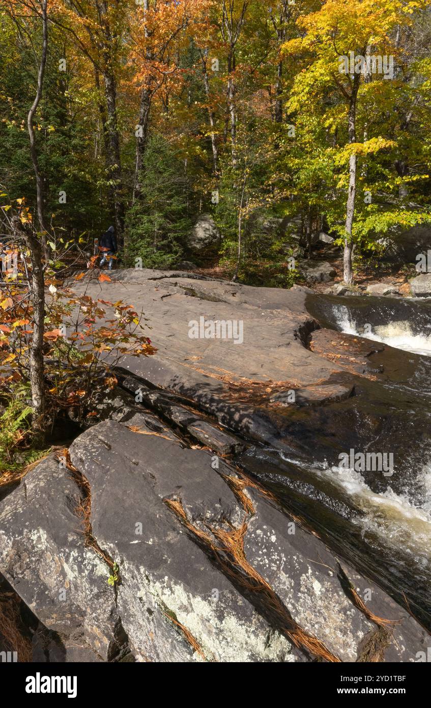 Rock and trees at Stubbs Falls in Arrowhead Provincial Park in Ontario Canada Stock Photo - Alamy