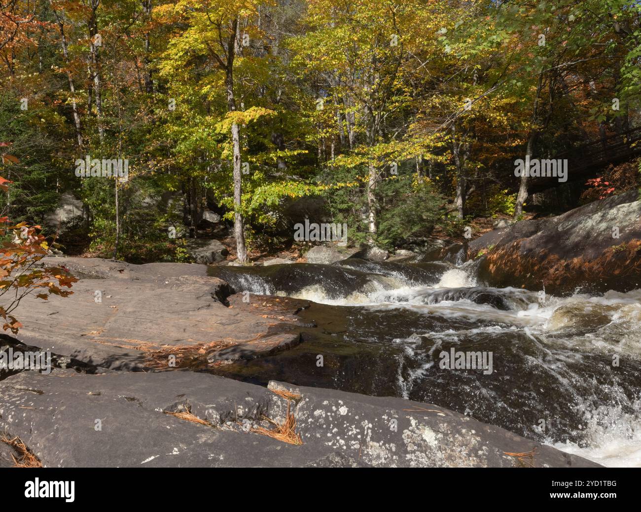 Rock and trees at Stubbs Falls in Arrowhead Provincial Park in Ontario ...
