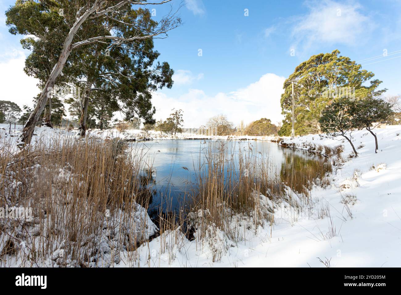 Snow covered rural field with watering hole Stock Photo - Alamy