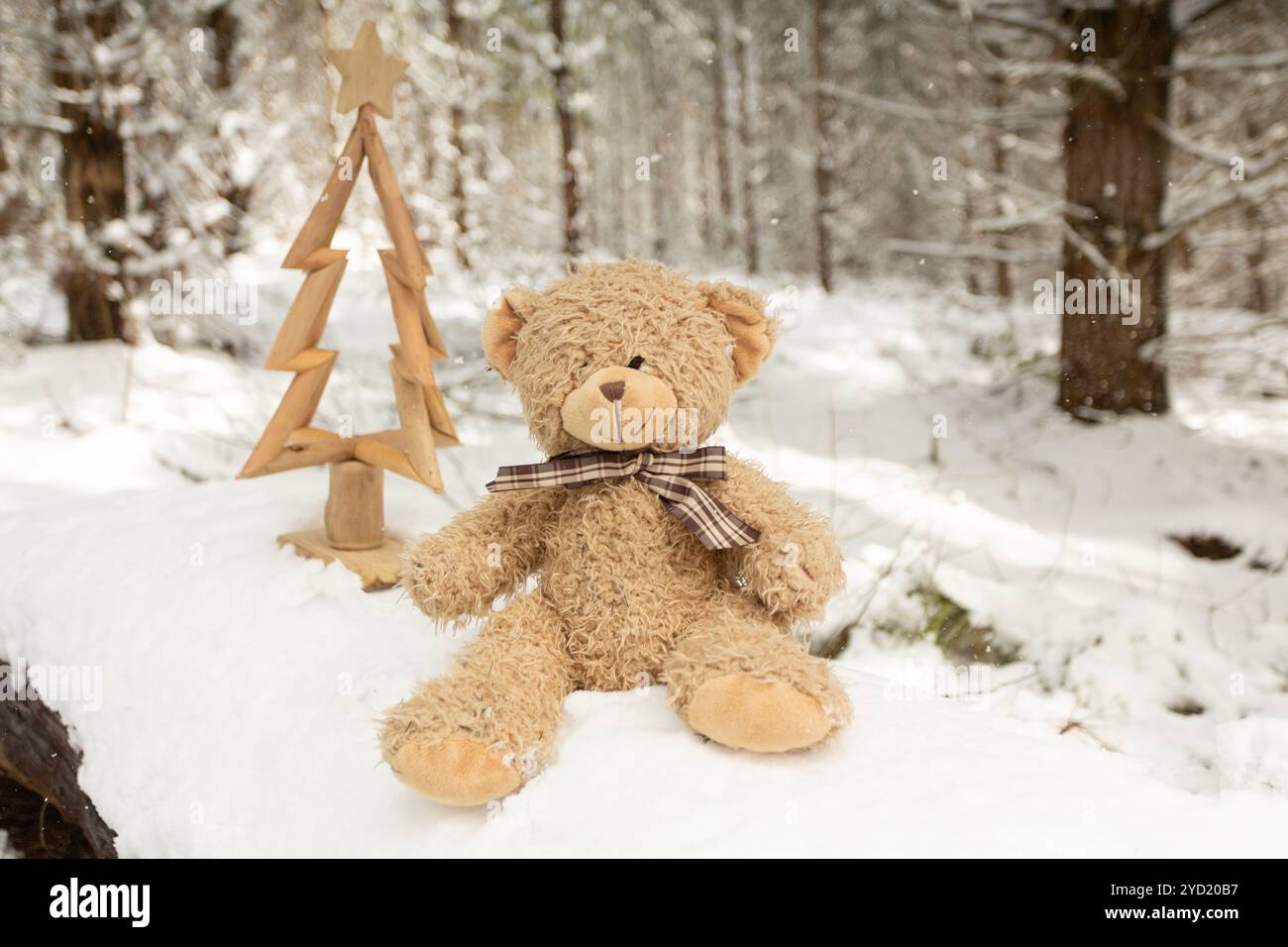 Christmas in july australia hi-res stock photography and images - Alamy