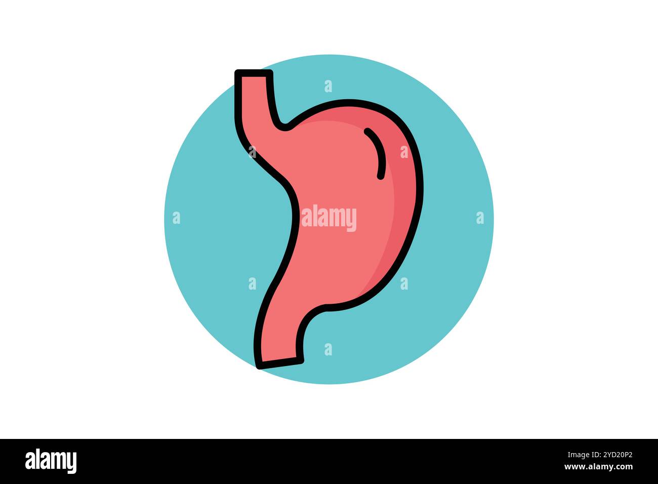 Stomach icon. colored outline icon style. icon related to medical ...