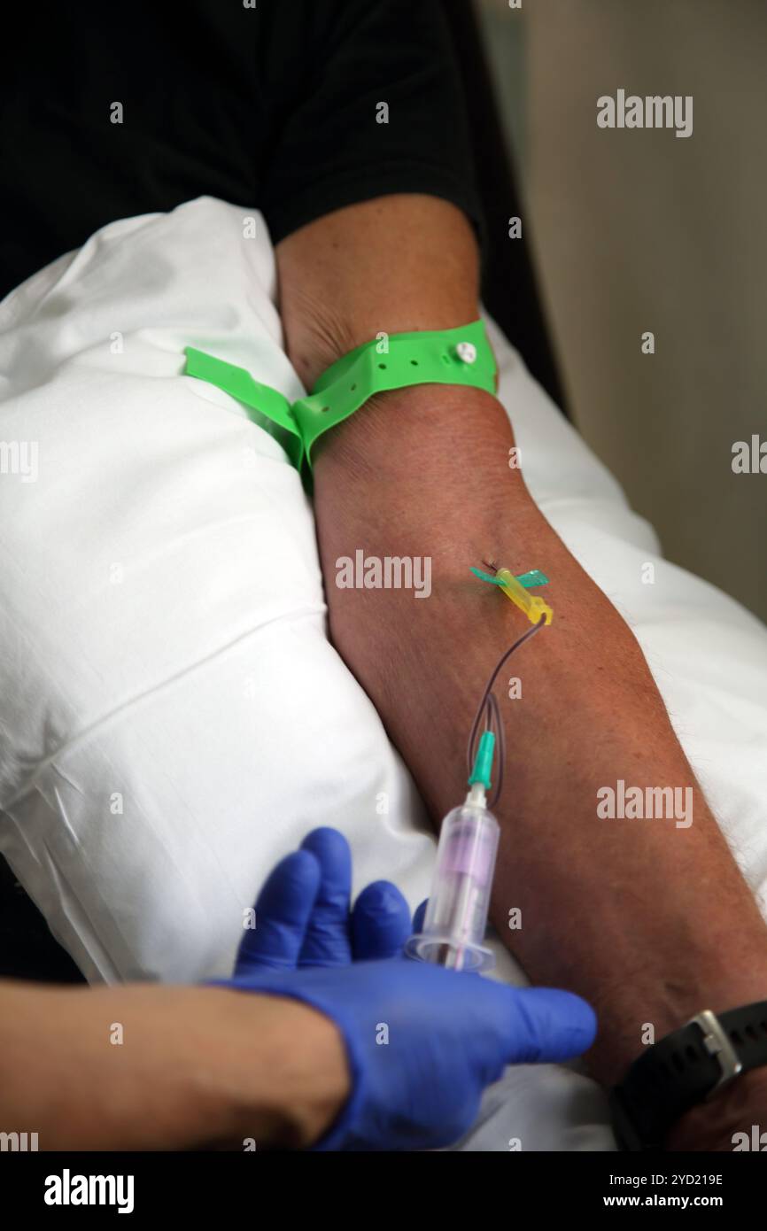 Nurse Taking Patient's Blood using a Syringe and Butterfly Needle ...