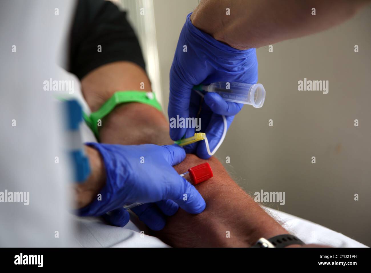 Nurse Taking Patient's Blood using a Syringe and Butterfly Needle ...