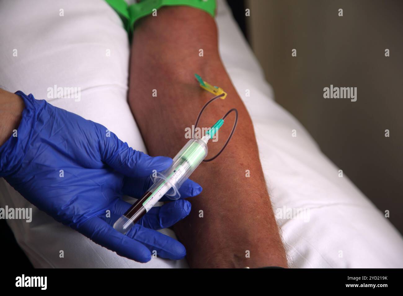 Nurse Taking Patient's Blood using a Syringe and Butterfly Needle ...