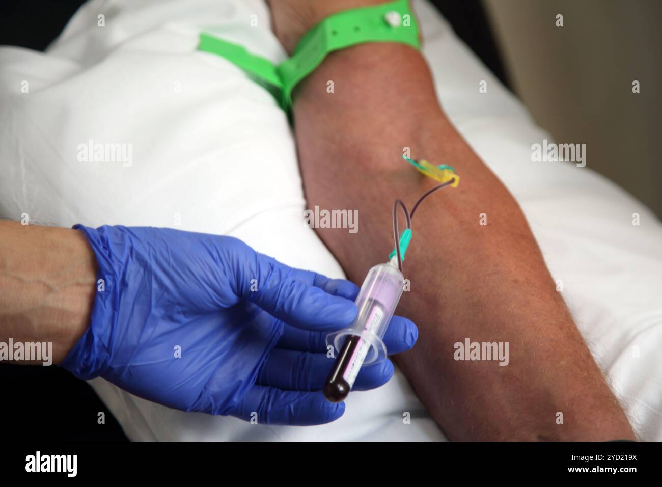 Nurse Taking Patient's Blood using a Syringe and Butterfly Needle ...