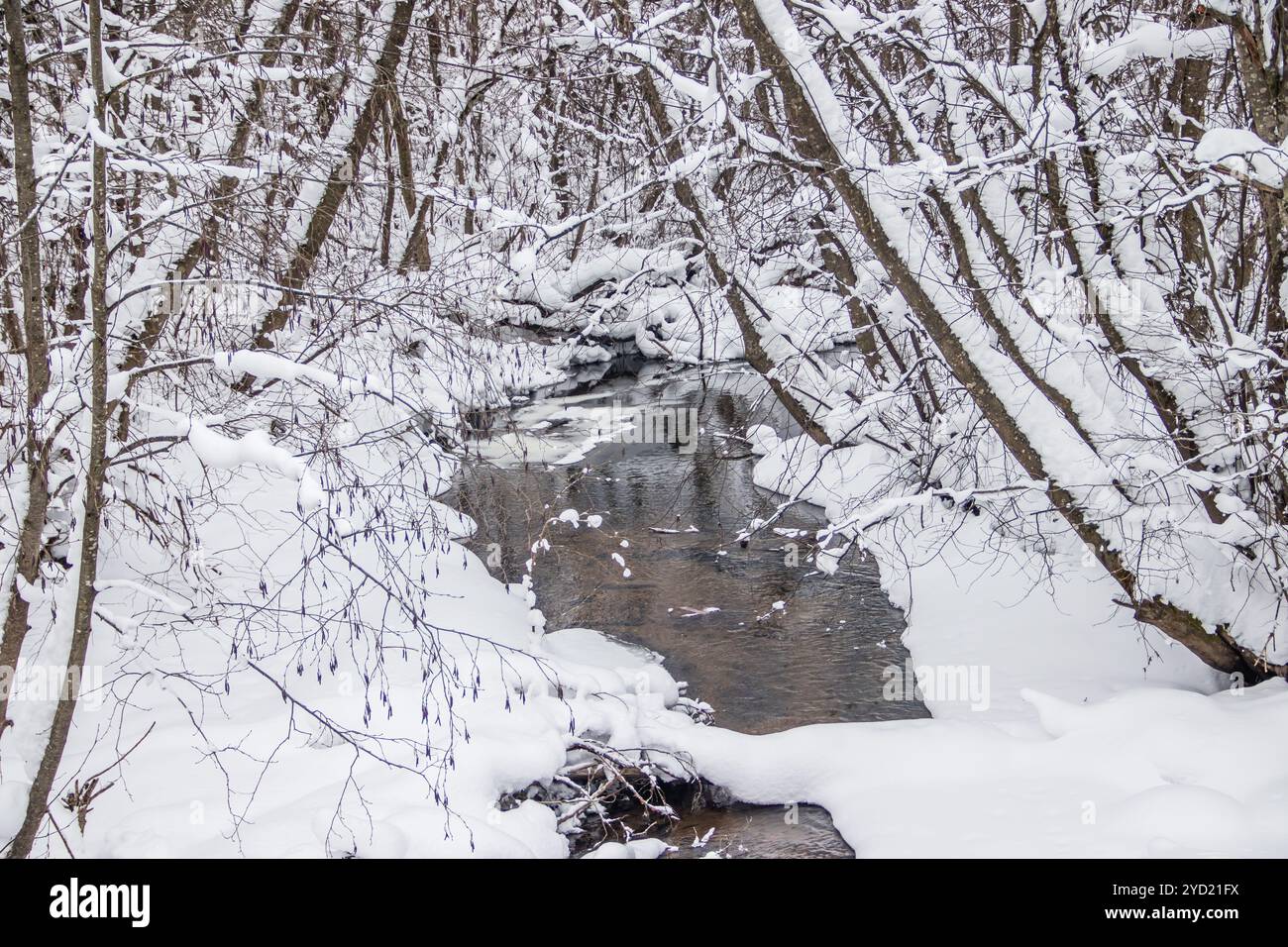 The forest to frozen rivers hi-res stock photography and images - Alamy