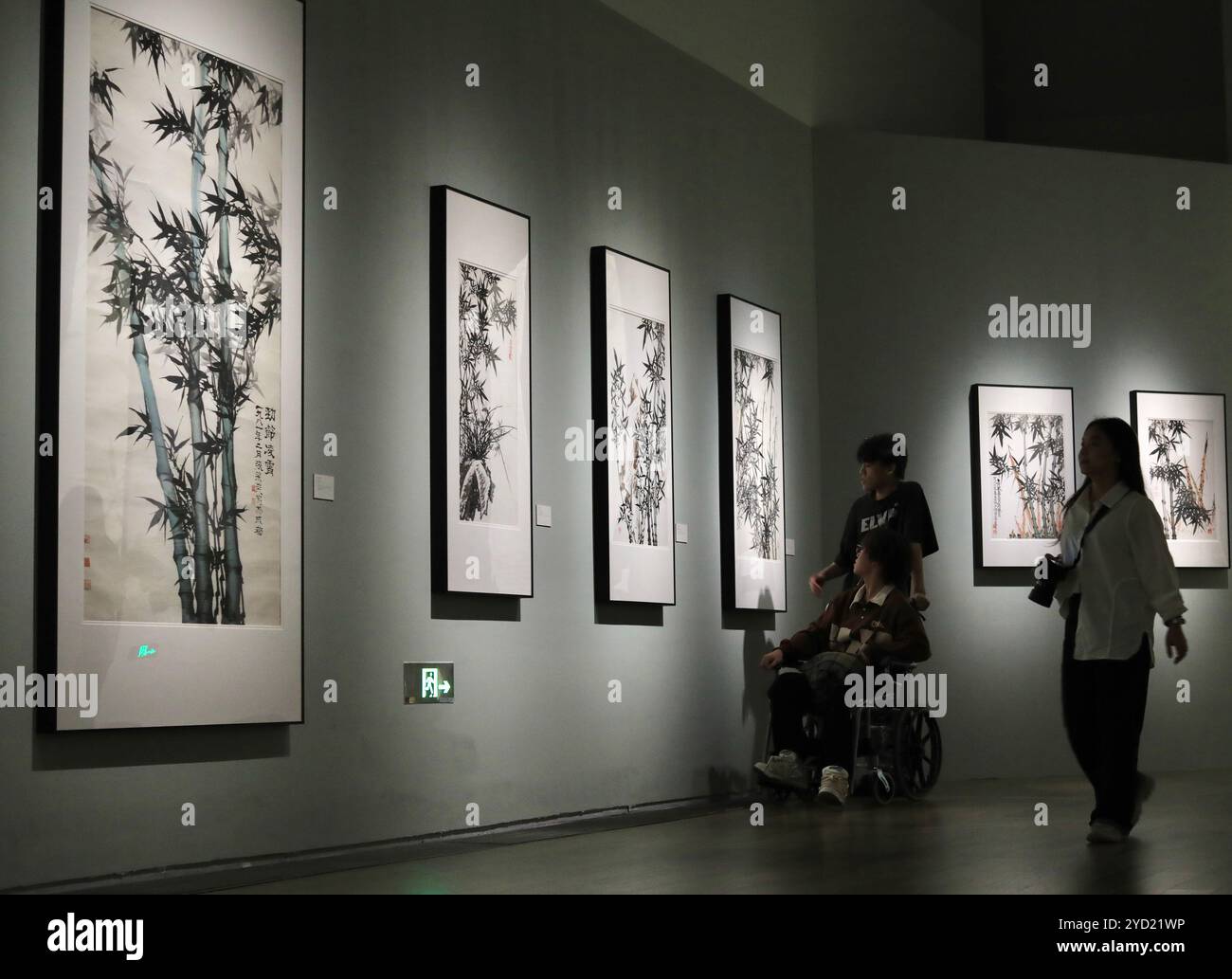 Chengdu,China.24th October 2024. The exhibition of the retrospective of ...