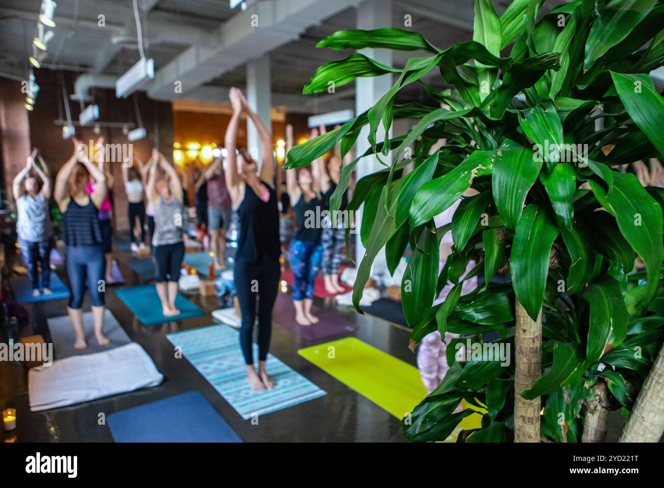 Diverse group of people in yoga class Stock Photo - Alamy