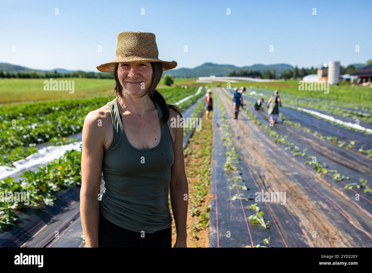 Farmhands tend crops at ecological farm Stock Photo - Alamy