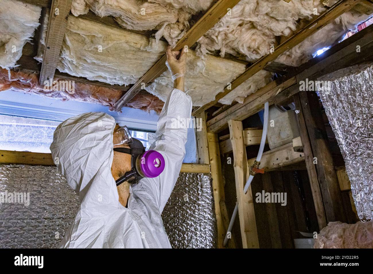 An environmental quality assessor is seen at work in a basement ...