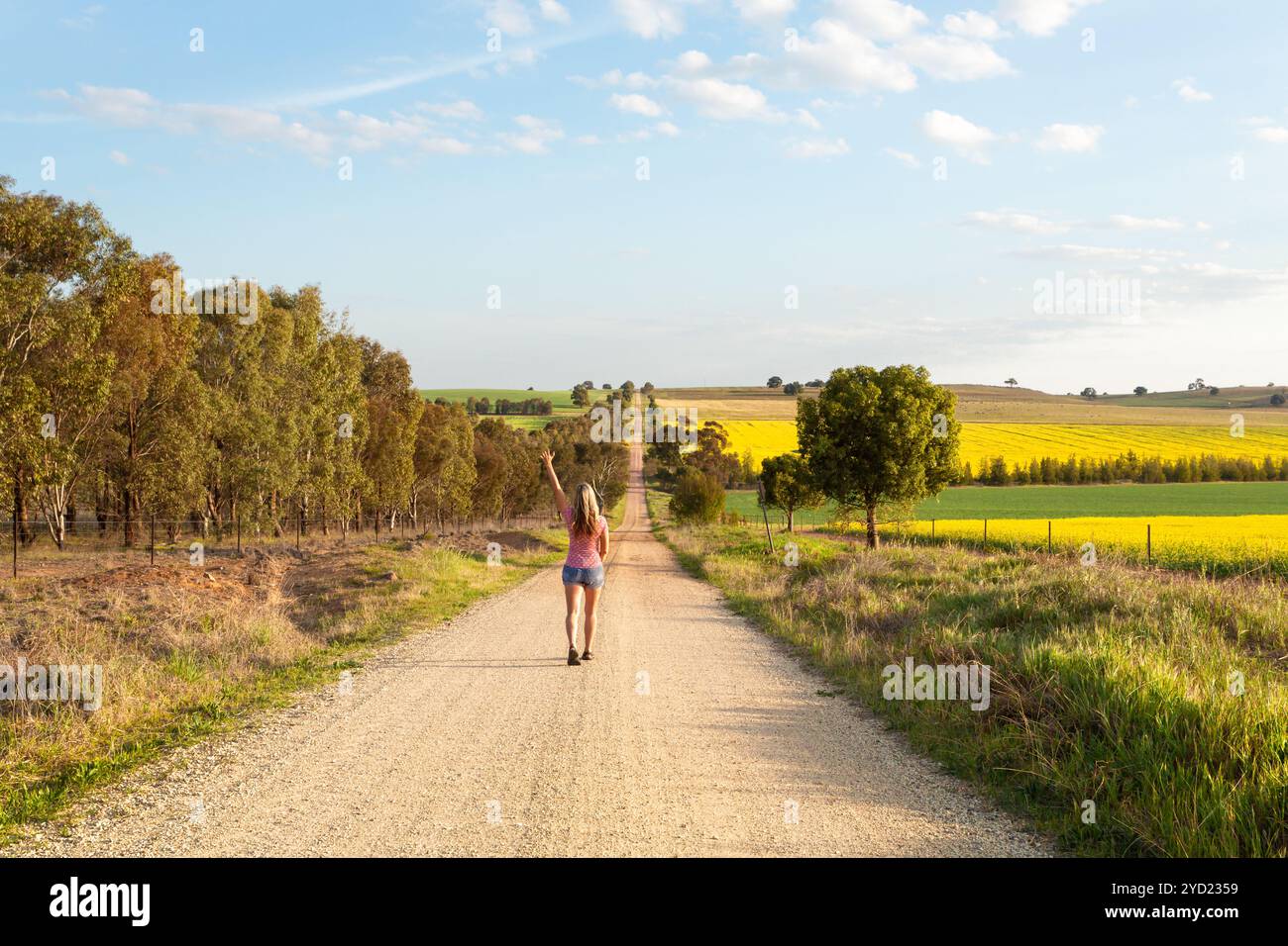 Beautiful road along fields hi-res stock photography and images - Alamy