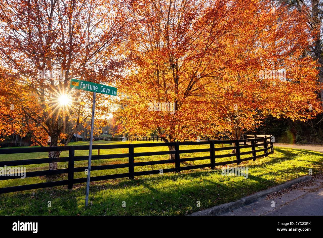 Burst of vibrant colors hi-res stock photography and images - Alamy