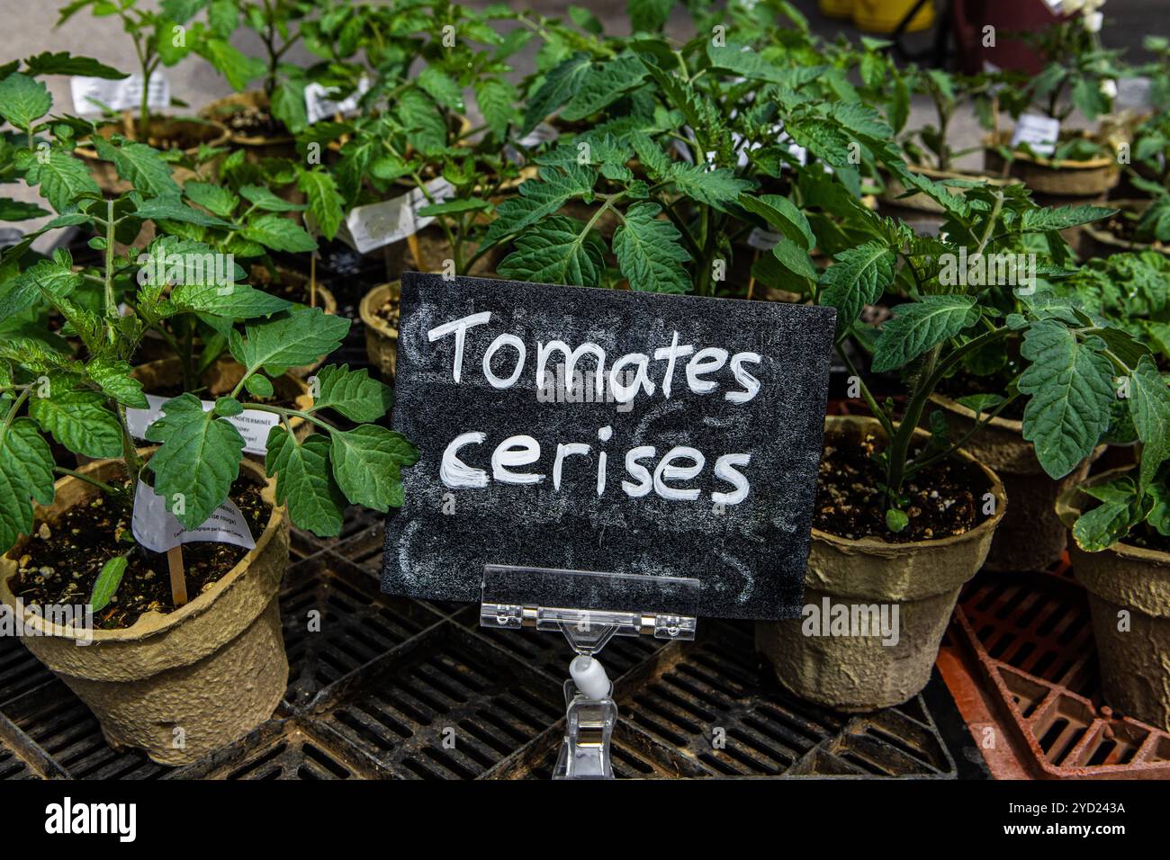 Organic produce sold at farmers market Stock Photo - Alamy