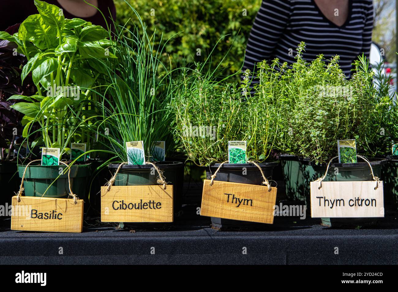 Market organic hi-res stock photography and images - Alamy