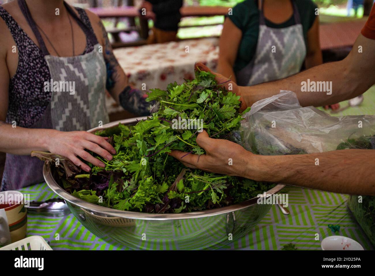 Spiritual gathering hi-res stock photography and images - Alamy