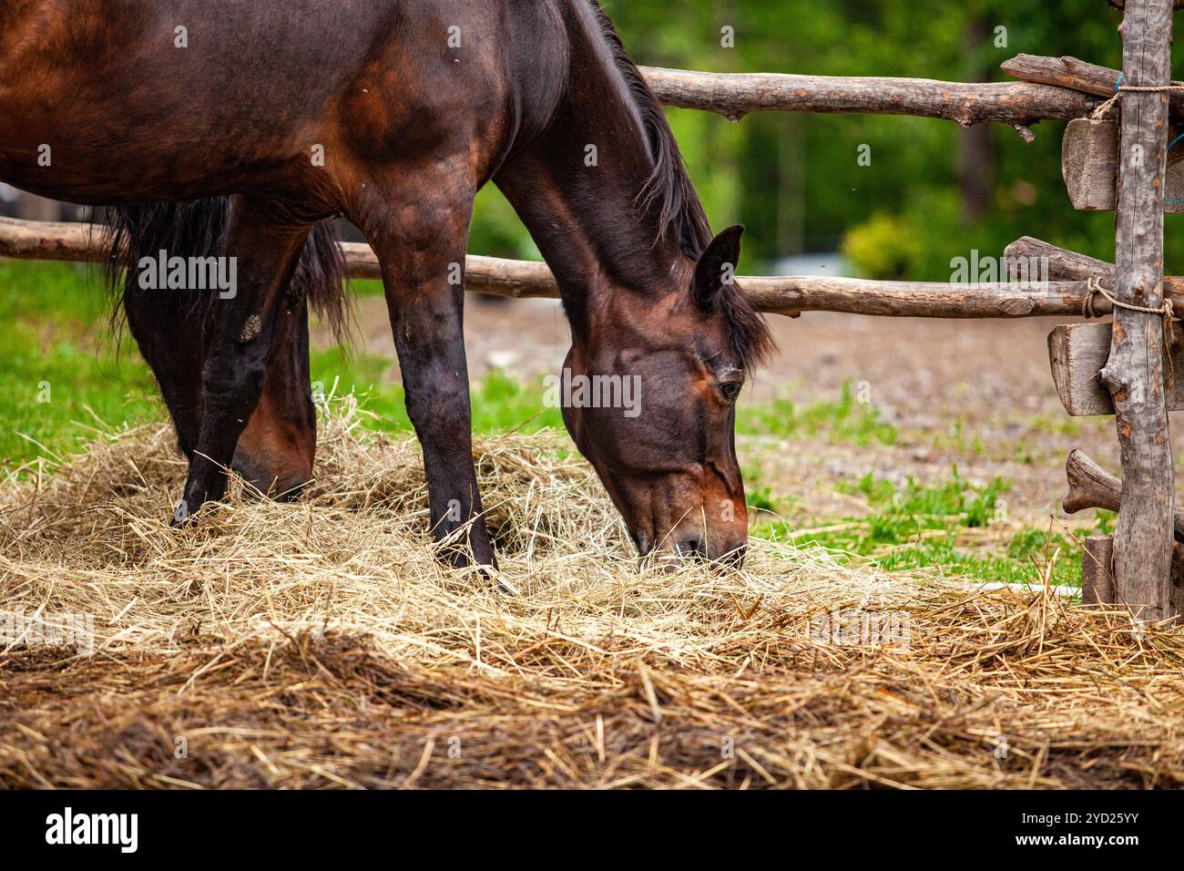 Diverse people enjoy spiritual gathering hi-res stock photography and images - Alamy
