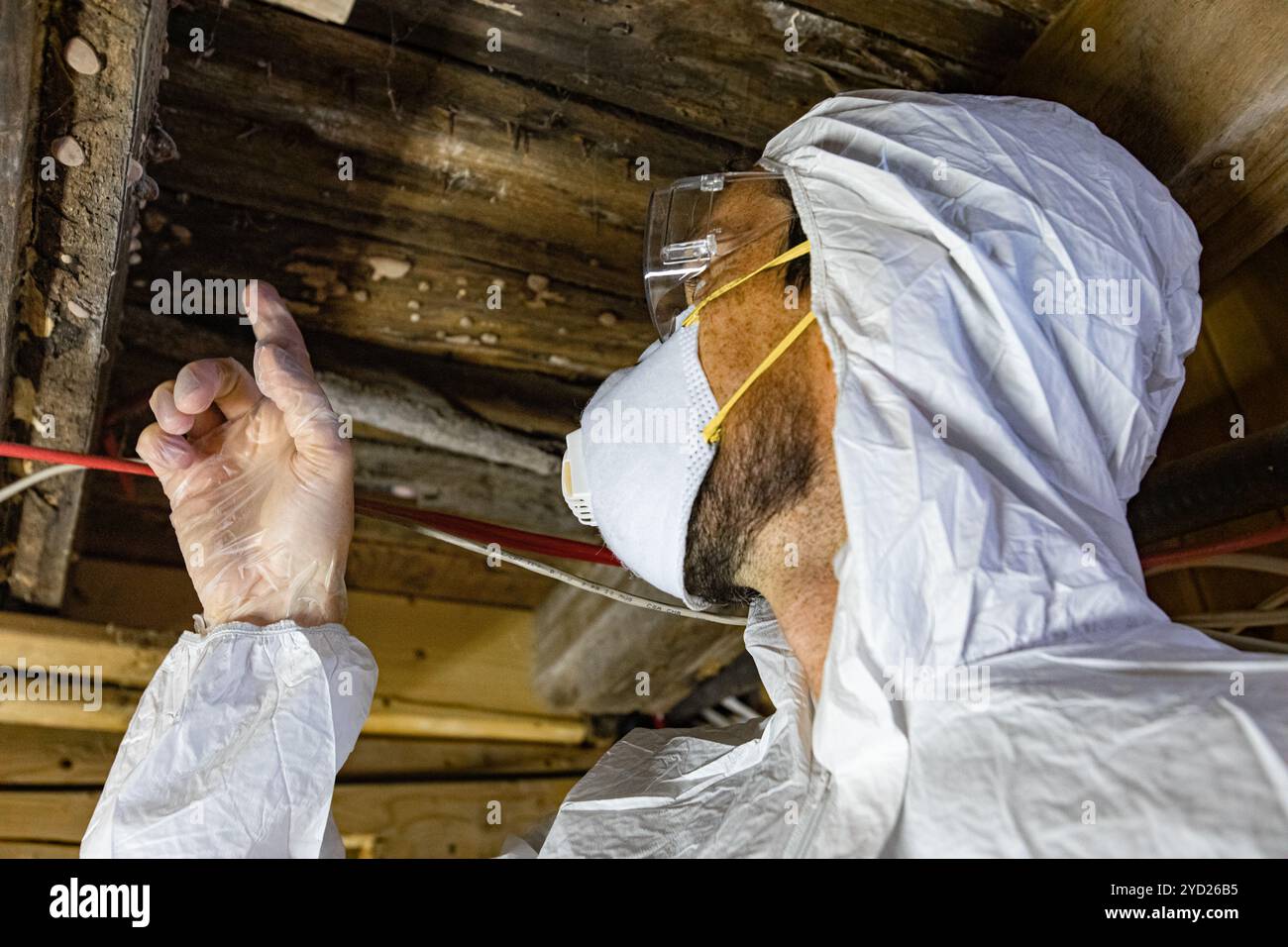 Indoor damp and air quality or IAQ testing Stock Photo - Alamy